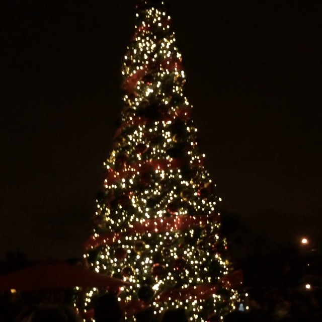 Tree lighting countdown #evfreefullerton #kingdomcome